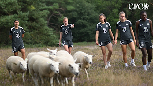 Highlights: Chelsea 1-1 Crystal Palace | Video | Official Site ...