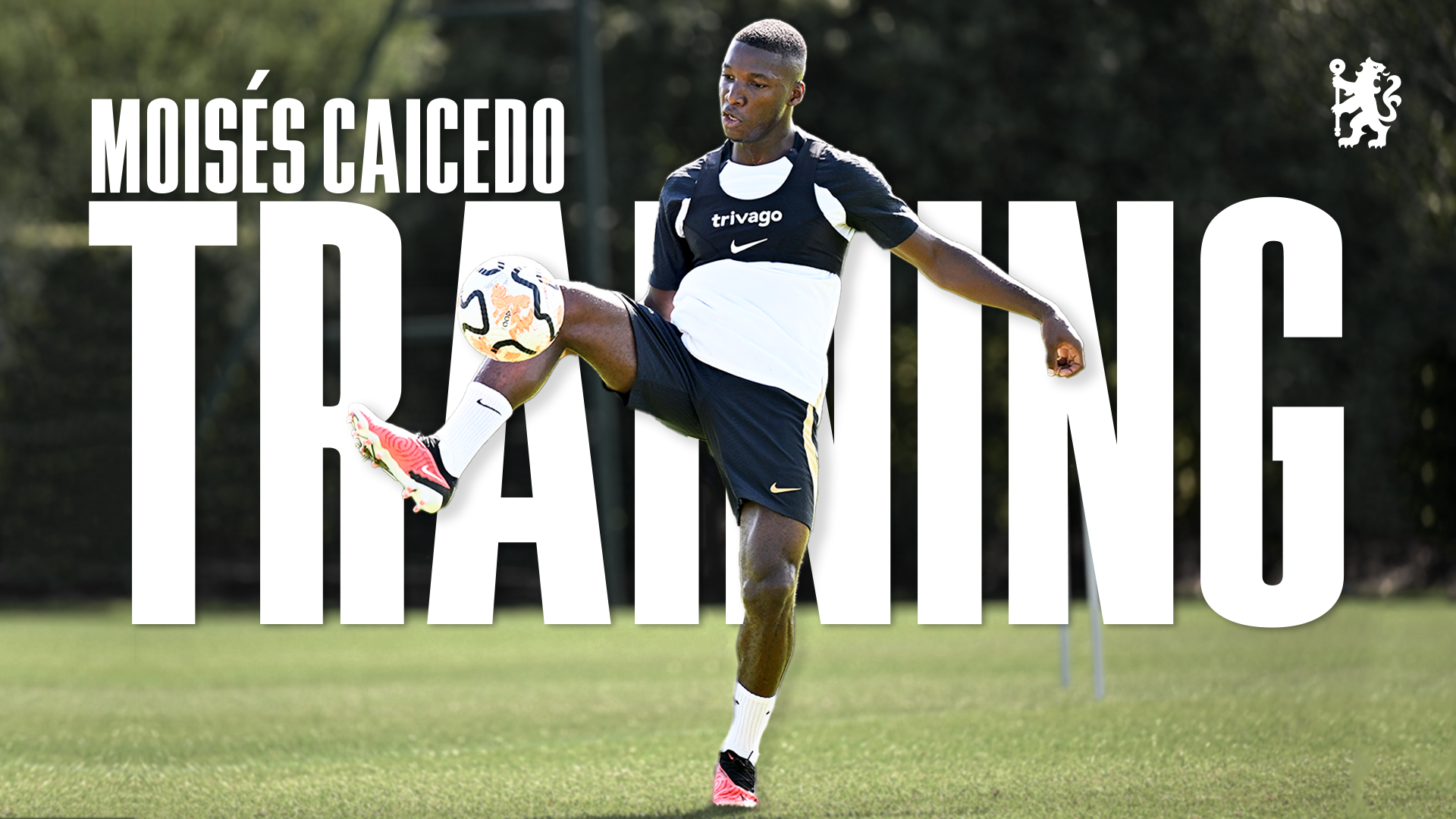 Caicedo's first training session! | Video | Official Site | Chelsea ...