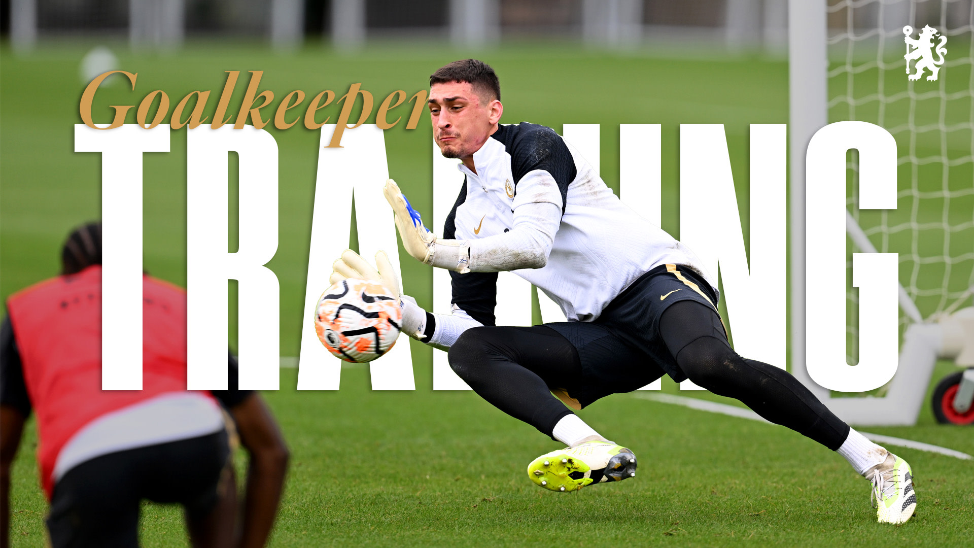 Training with Petrovic, Bergstrom & Merrick 理 | Video | Official Site ...