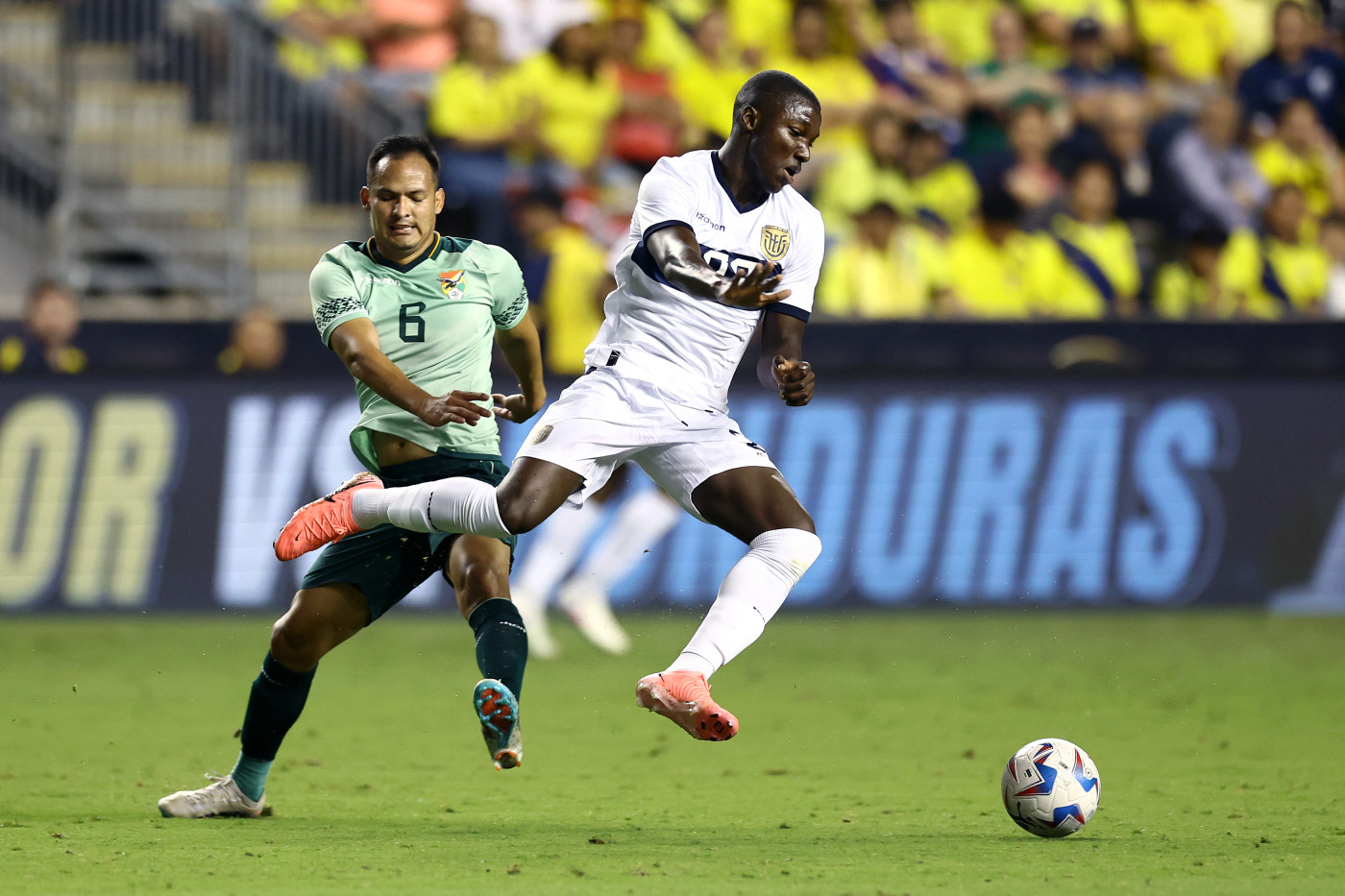 Moises Caicedo | Profile | Official Site | Chelsea Football Club