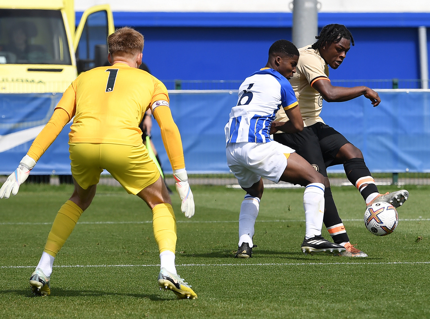 Brighton and Hove Albion U18 v Chelsea U18 | Match | Official Site ...