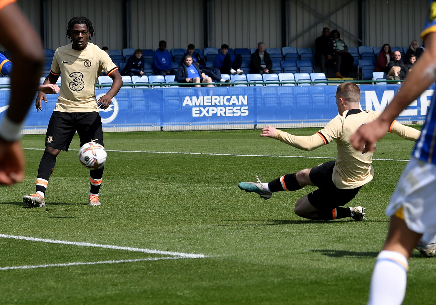 Brighton and Hove Albion U18 v Chelsea U18 | Match | Official Site ...