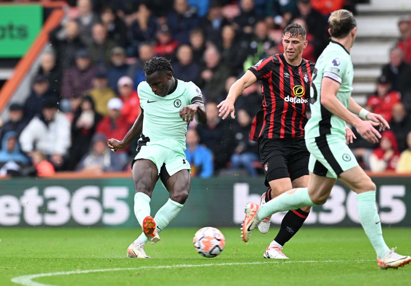 openings bournemouth