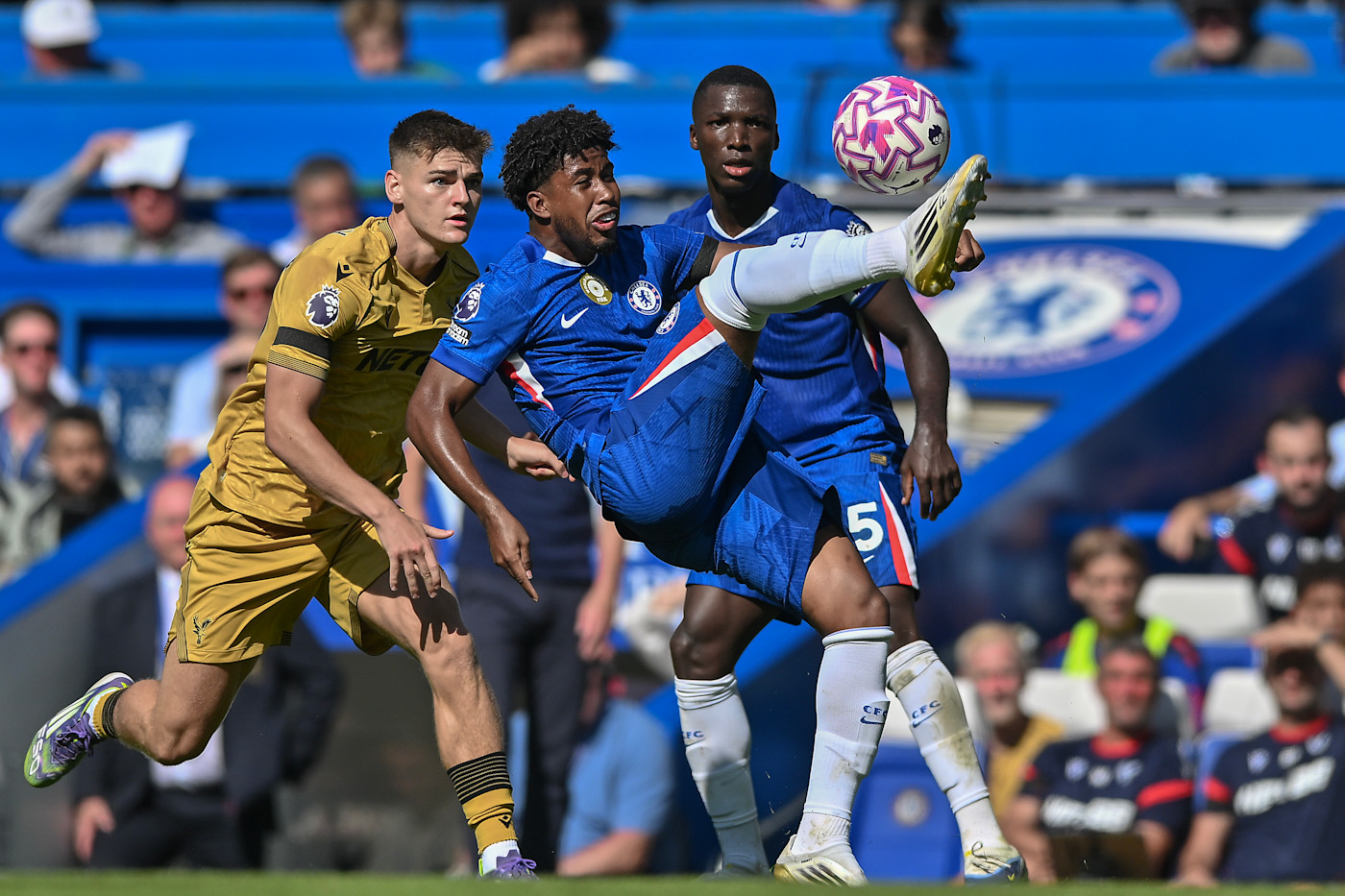 Andrey Santos | Profile | Official Site | Chelsea Football Club