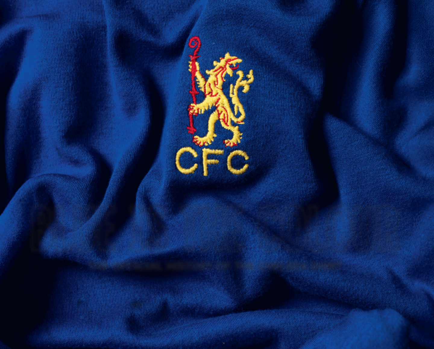 chelsea fc coloring book