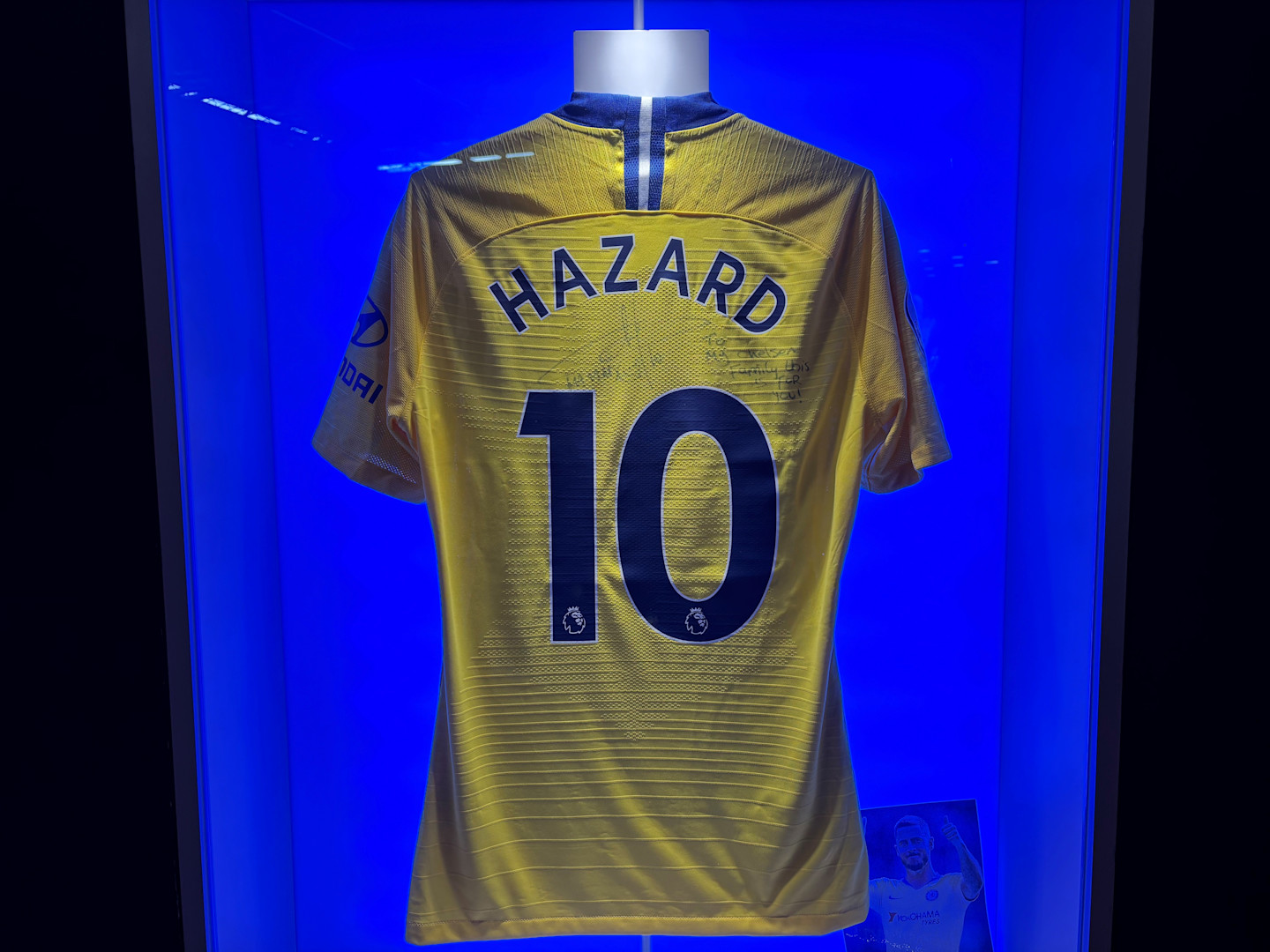 eden hazard kit