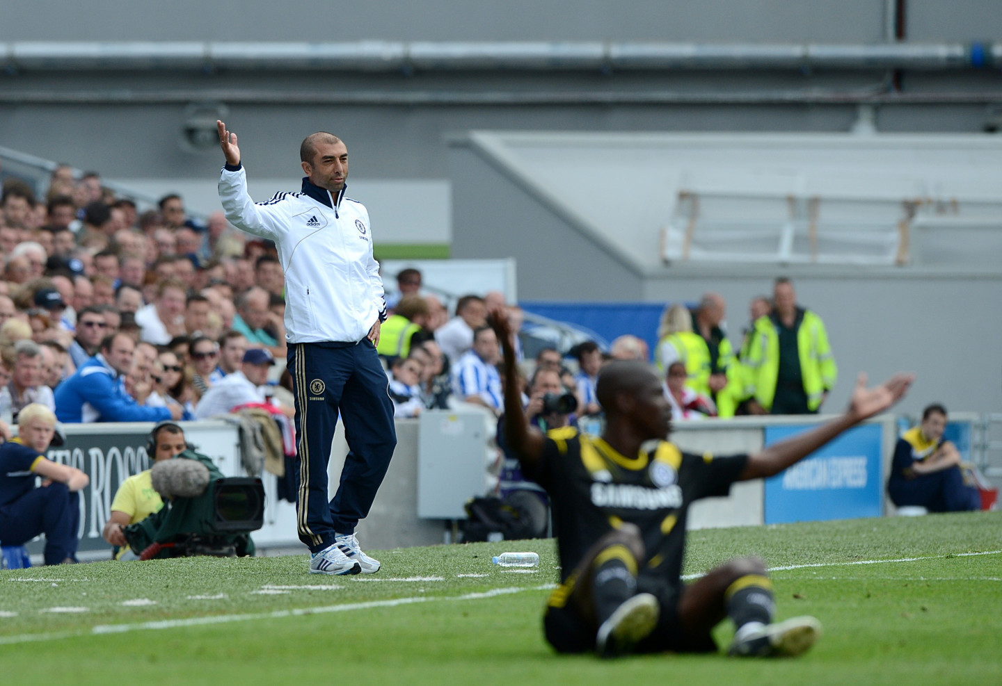 Roberto Di Matteo | Official Site | Chelsea Football Club